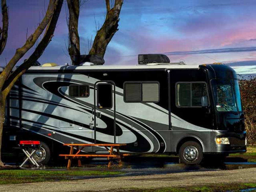 Sweet Citrus Acres RV Resort - Crystal River campgrounds | Good Sam Club