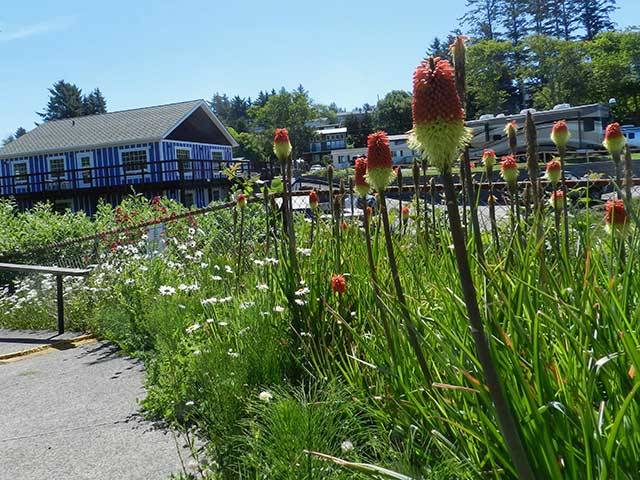 Netarts Bay Garden RV Resort - Tillamook campgrounds | Good Sam Club