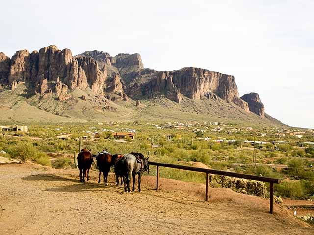 Weaver's Needle RV Resort - Apache Junction campgrounds | Good Sam Club
