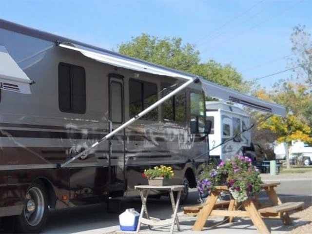 American RV Resort - Albuquerque campgrounds | Good Sam Club